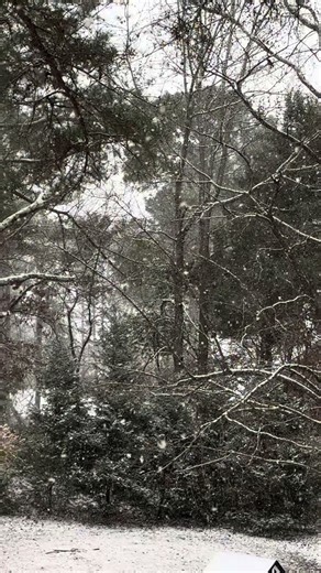 Love these little snow day memories 🥹 #snowday #secondtimemom #sahm | snow day