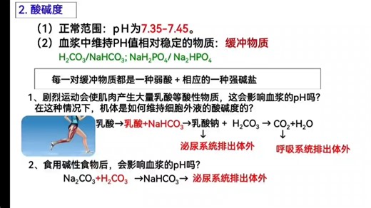 内环境酸碱平衡的调节