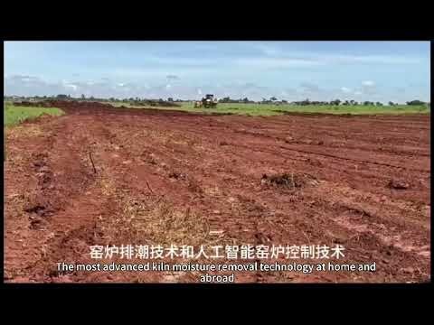 Production Line of Large Rotary Tunnel Kiln Sintered Clay Brick Plant in Zimbabwe .