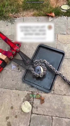 Inside a Geode Sealed for Millions of Years | geode