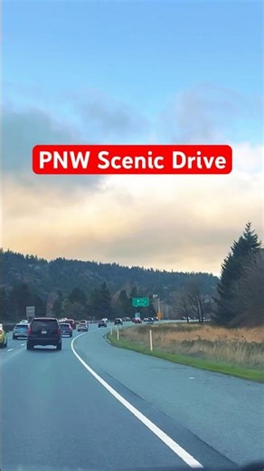 Scenic drive in PNW #driving