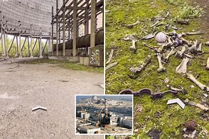 Google Maps user discovers pile of 'skeletal remains' near 'Chernobyl site'