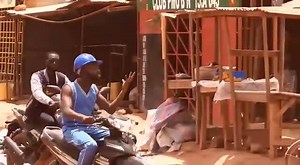 174K views · 9.8K reactions | Contactez nous pour vos Publicités désormais. C'est #R_Evolution qui a réalisé ce projet. Soum le Sapeur . Bonne suite de programme à tous ! | Soum le Sapeur | Facebook