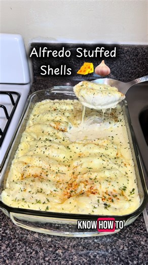 Delicious Alfredo Stuffed Shells Recipe for Dinner