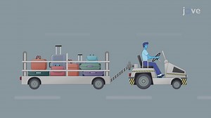 Video: Work Done by Many Forces