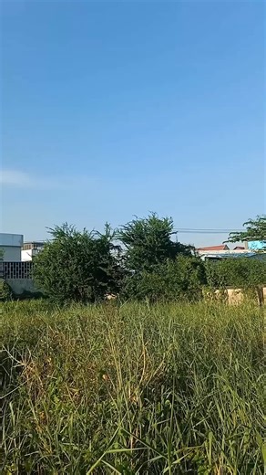 @singaporeairlinesvirtual |Airbus A350-968ULR Land at VDPP(SIN-PNH) REG:9V-SHP#support #flp #aviation #airbusa350lovers