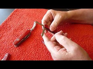 New Victorinox Mini Champ and Floral Knife