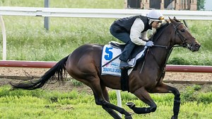 Melbourne Cup form guide: Pros, cons and realistic chances for every runner