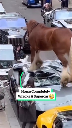 That's going to be expensive to fix 😳 | VT