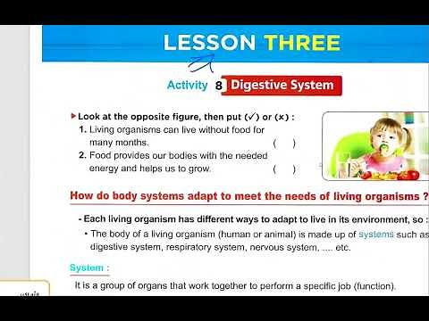 Grade 4 LESSON 3 Digestive system شرح الدرس الثالث الجهاز الهضمى ساينس سنة رابعة ابتدائي بسهولة