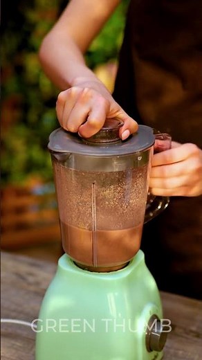 Composting Masterclass: Turn kitchen waste into garden organic fertilizer