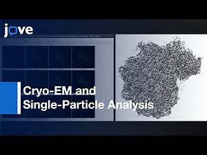 Cryo-EM and Single-Particle Analysis with Scipion