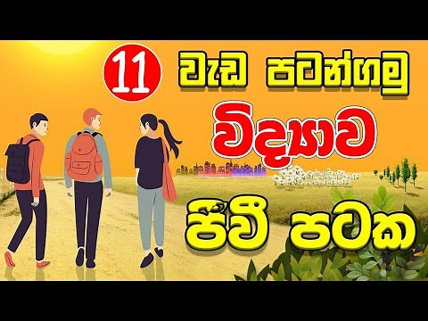 Grade 11 Science | ජීවී පටක (shaka pataka) | Living tissues | Jeewi Pataka | 11 ශ්‍රේණිය පළමු පාඩම🌴