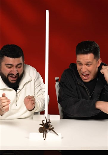 Как вам такая плюшевая игрушка в руках у Азамата? А у меня в руках конструктор Чебурашка от бренда РУБРИК, один из победителей конкурса «Родная игрушка» от Общества «Знание» и Движения Первых. Ищите других победителей конкурса на сайте!