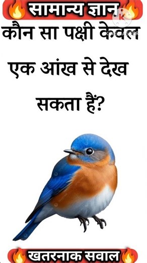 कौन सा पक्षी केवल एक आंख से देख सकता हैंMost Beautiful CountriesInTheWorld