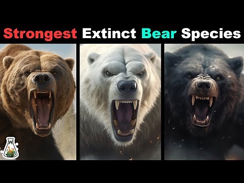 6 Most Powerful Extinct Bear Species