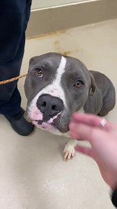 176K views · 12K reactions | A017290 Located At: Clayton County...