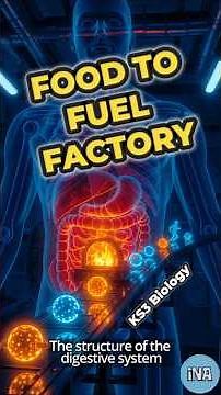 How Food Becomes Fuel (KS3 Biology Explained)