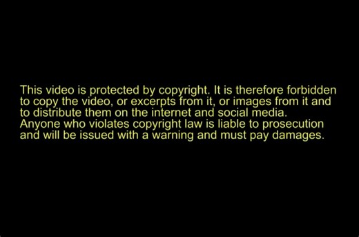 Clip 0132 - Freediving Fins Bikini Woman