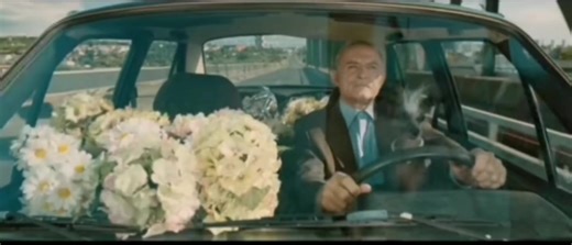 #film #domaći #dnevnikmašinovodje