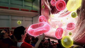 3D Learning Experience