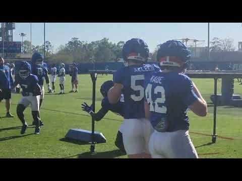 Watch: Florida Spring Football Practice 3/11/2025