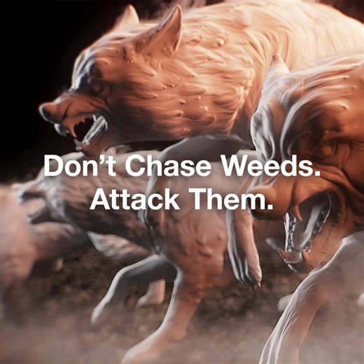 Discover a powerful PPO residual corn herbicide you can apply pre- through early-post. Don’t chase weeds. Attack them. | BASF Agricultural Solutions