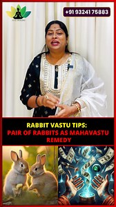 Keeping a pair of rabbits in the right MahaVastu zone turns expenditure into profits. It helps in forming business relationships & commercial network. #vastushastra #vastutipsforhome #vastutipsformoney #moneyaffirmations #baghyaashok #remedies #pariharamintamil Learn Reiki Online | Distance Healing | Tarot Card Reader | Angel Card Reading | Crystal, Candle, Singing Bowl, and Pendulum Therapies People who wish to know about Reiki healing therapy please contact For Appointments 9025574750, 93241 7