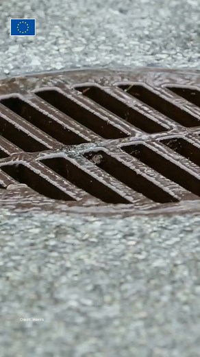 EUfunded researchers are transforming wastewater sludge into biocoal and green hydrogen, helping to reduce the steel industry’s environmental footprint. How are experts replacing traditional coal in steelmaking, while recovering valuable resources? 🔗 Read the Horizon Magazine article. #ResearchImpactEU #Science4EU | HORIZON: the EU Research & Innovation magazine