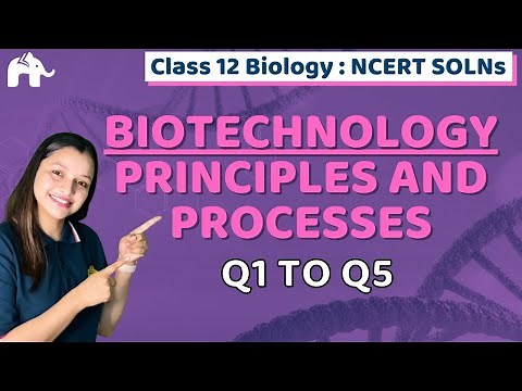 Biotechnology: Principles and Processes Class 12 Biology | Chapter 11 Ncert Solutions Questions 1-5