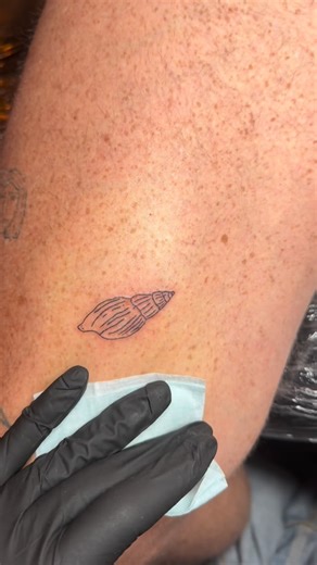 tashcosmos_tattoo on Instagram: "Matching shell tattoos… . . . . . . . #londontattoo #londontattoostudio #londontattooartist #lostfox #lostfoxtattoo #shelltattoo #matchingtattoo"