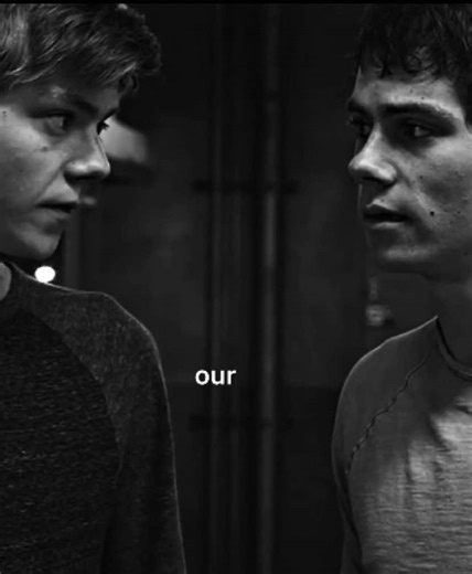 Exploring the Maze Runner Universe: What You Need to Know