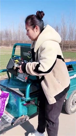 #Variable Frequency Range Extender Generator Range Extender Generator #Electric Tricycle