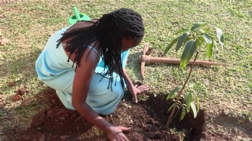 Kids in Uganda adopt trees as pets