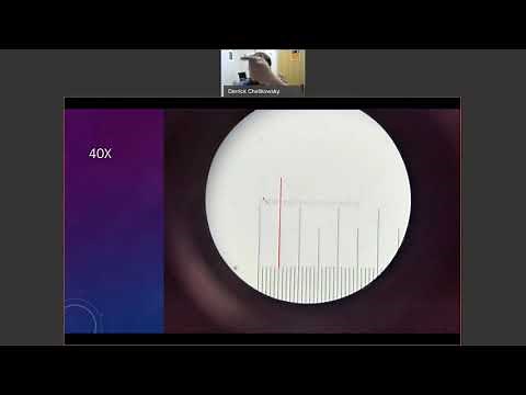 Microscope Calibration