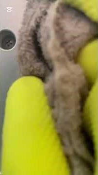 How to Clean Your Washing Machine | Remove Mold, Bad Smell & Detergent Build-Up