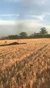 1.9K views · 22 reactions |  | Magic Touch | Facebook