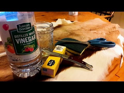 Clean Rust Off Your Knife Blade The Cheap & Easy Way