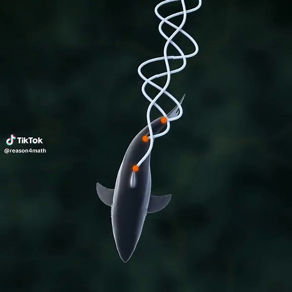 For @discovery #sharkweek, I wanted visualize some of the mathematical harmony in the movement of a shark. #shark #kinematics #oscillation #sinewave #sinusoidal #visualization