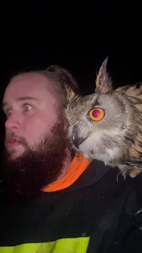 Embracing the Darkness: The Story of Bane