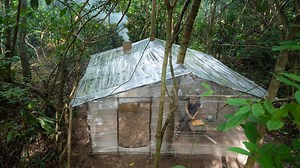 1.3M views · 15K reactions | Camping In Tropical Rainforest Build A Complete Warm Plastic Wrap House, Girl Solo Camping Skills | Jungle Survival | Facebook