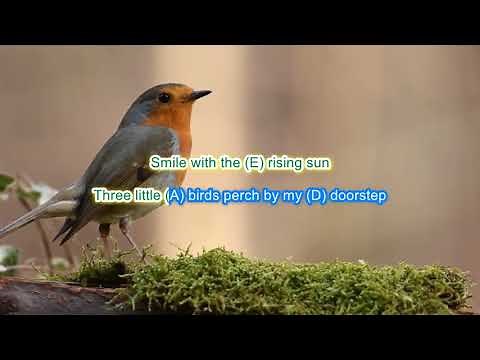 Three Little Birds by Bob Marley play along with scrolling guitar chords and lyrics