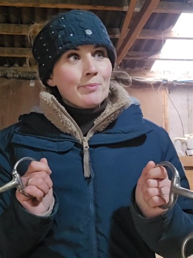 Single Jointed vs Double Jointed Snaffles: Myth Busting