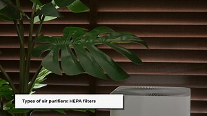 Filtering Facts: What You Need to Know Before Buying an Air Purifier