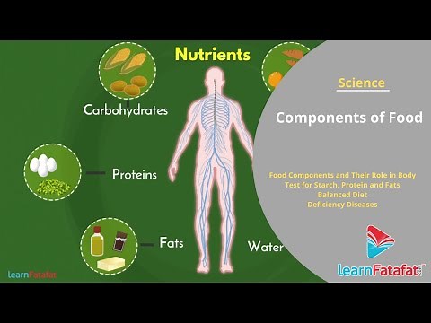 Components of Food Grade 6 Science Chapter 2 Full Chapter | Learnfatafat