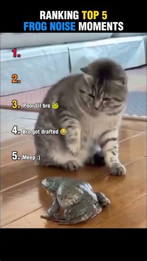 Ranking Top 5 Frog Noise Moments 🐸😂 (Part 2)