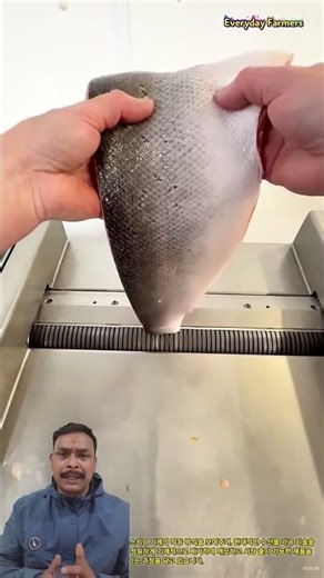 Automatic Salmon Skinning Machine in Action | Modern Seafood Processing #shortsfeed #shorts