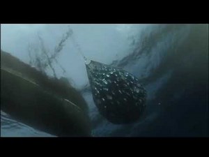 Finding Nemo (2003) Swim Down