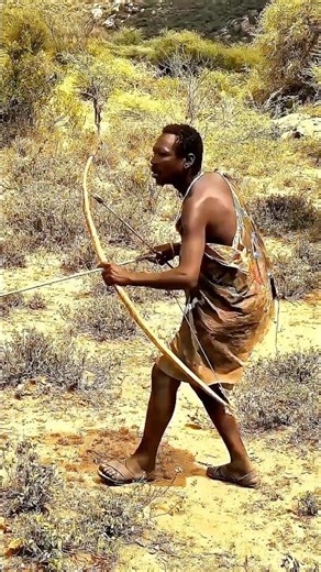 Traditional Bow Hunting Skills & Wild Predator Attacks.#shortvideo #viralvideo