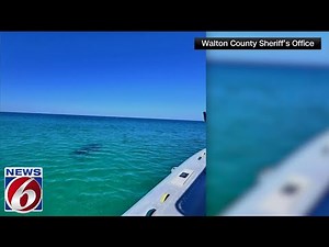 Woman loses arm, 2 teens injured in separate shark attacks on popular Florida beach